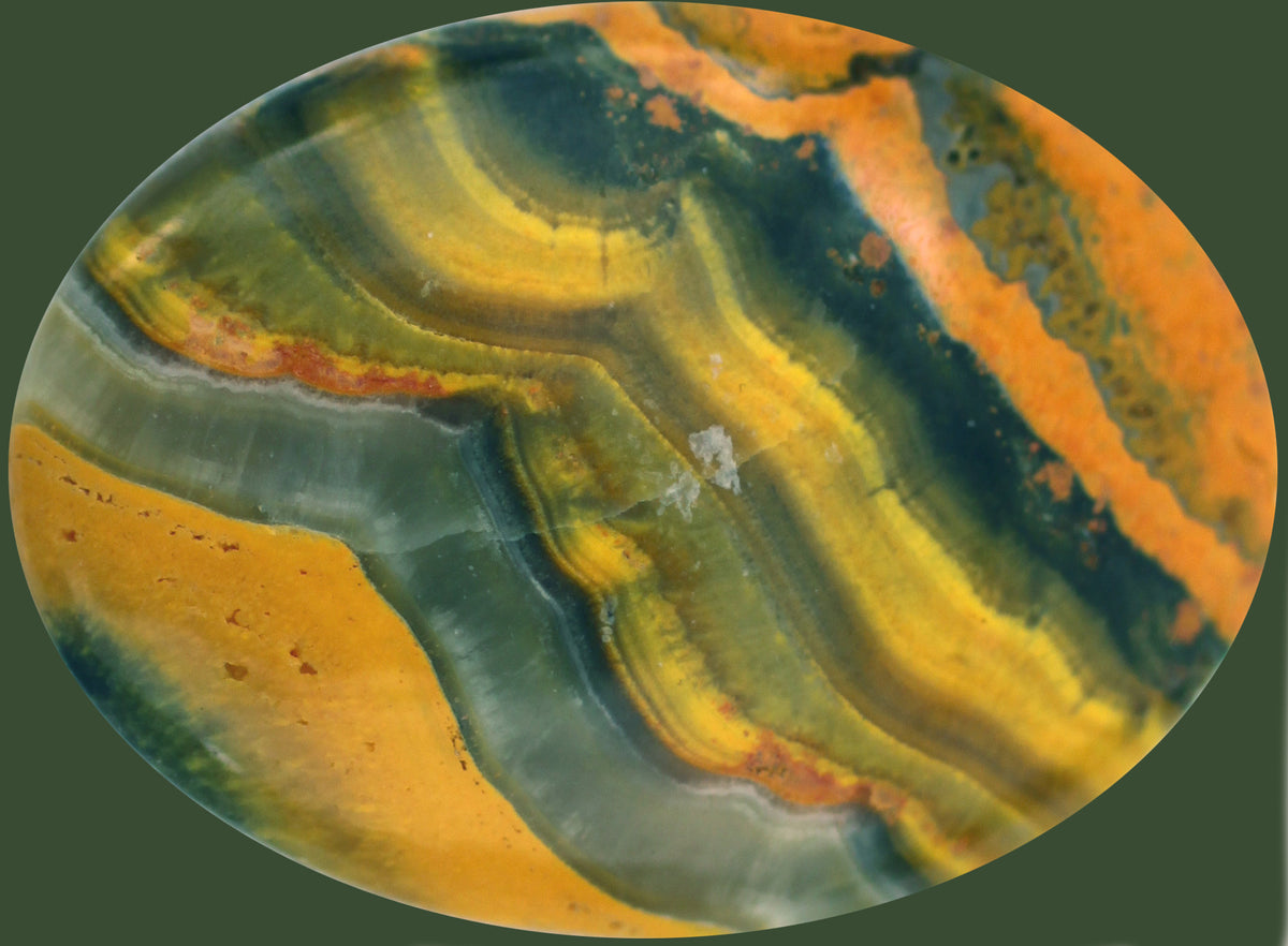 Bumblebee Jasper – Life is a Gift Shop