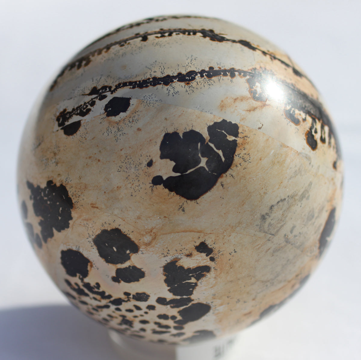 Chohua Jasper – Life is a Gift Shop