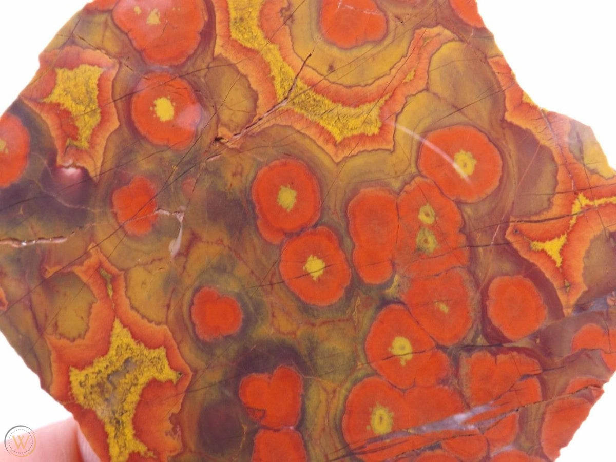 Morgan Hill Poppy Jasper – Life is a Gift Shop