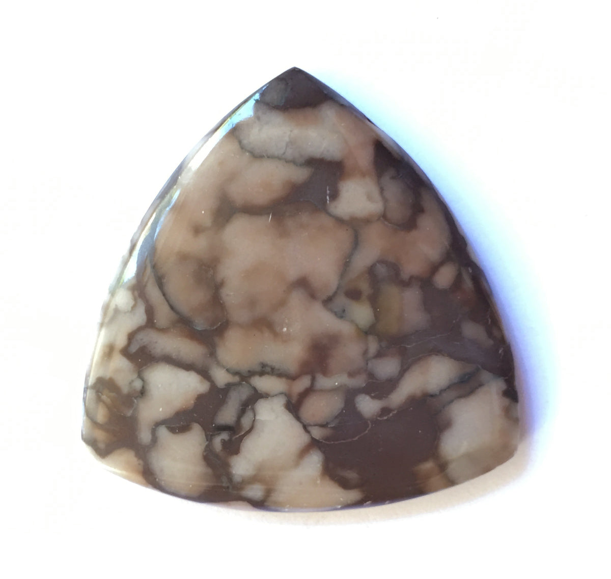 Map Jasper – Life is a Gift Shop