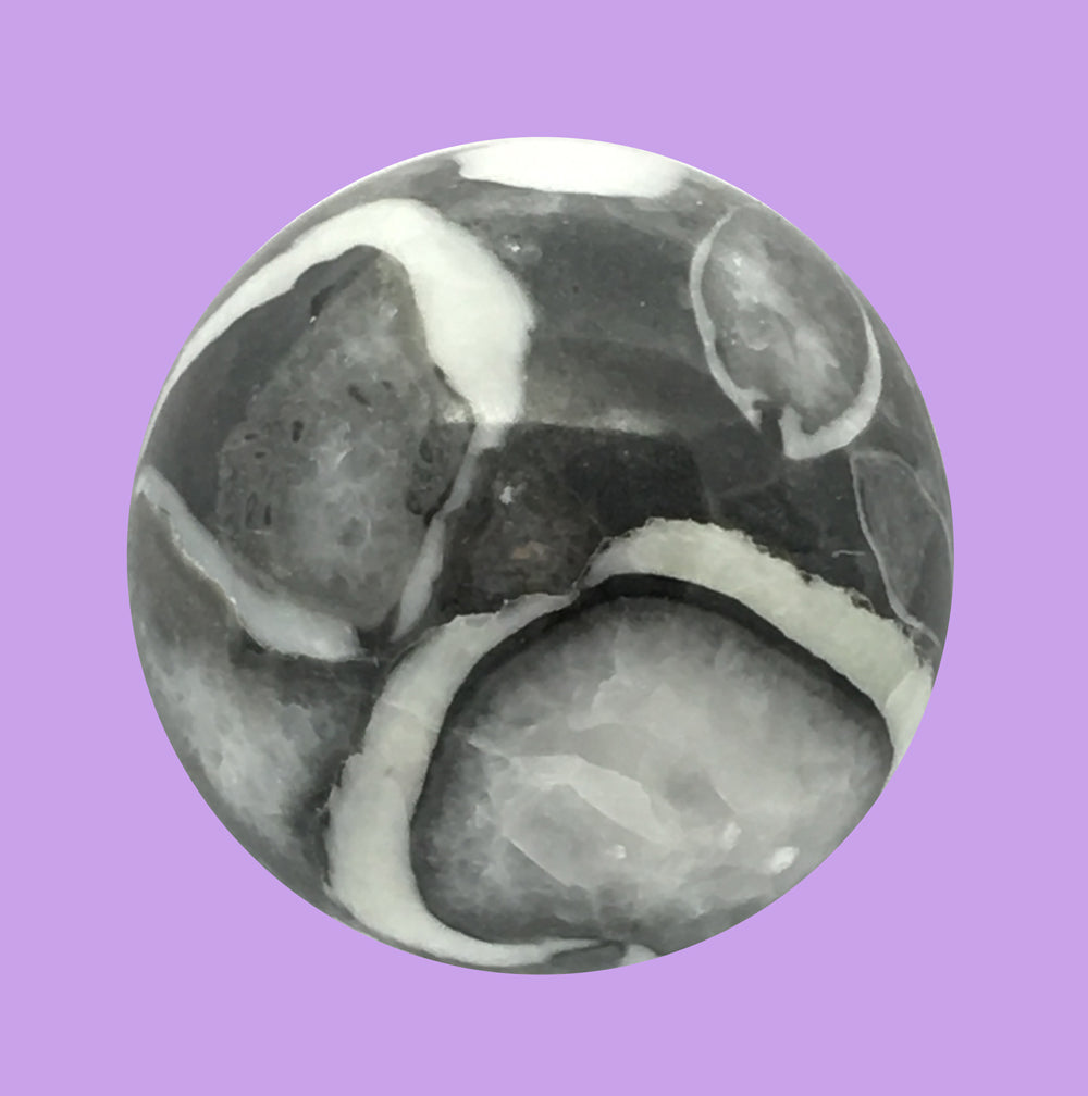 Coral Shell Jasper Sphere 40mm (1.6 inch) wide – Life is a Gift Shop